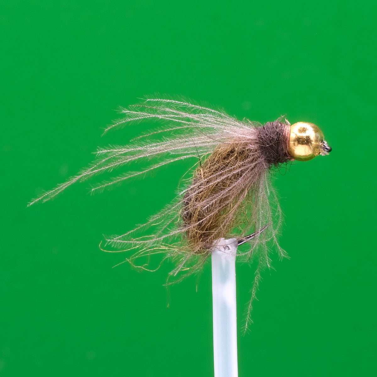 Bead Head Sedge Pupa Olive – Sulcifly
