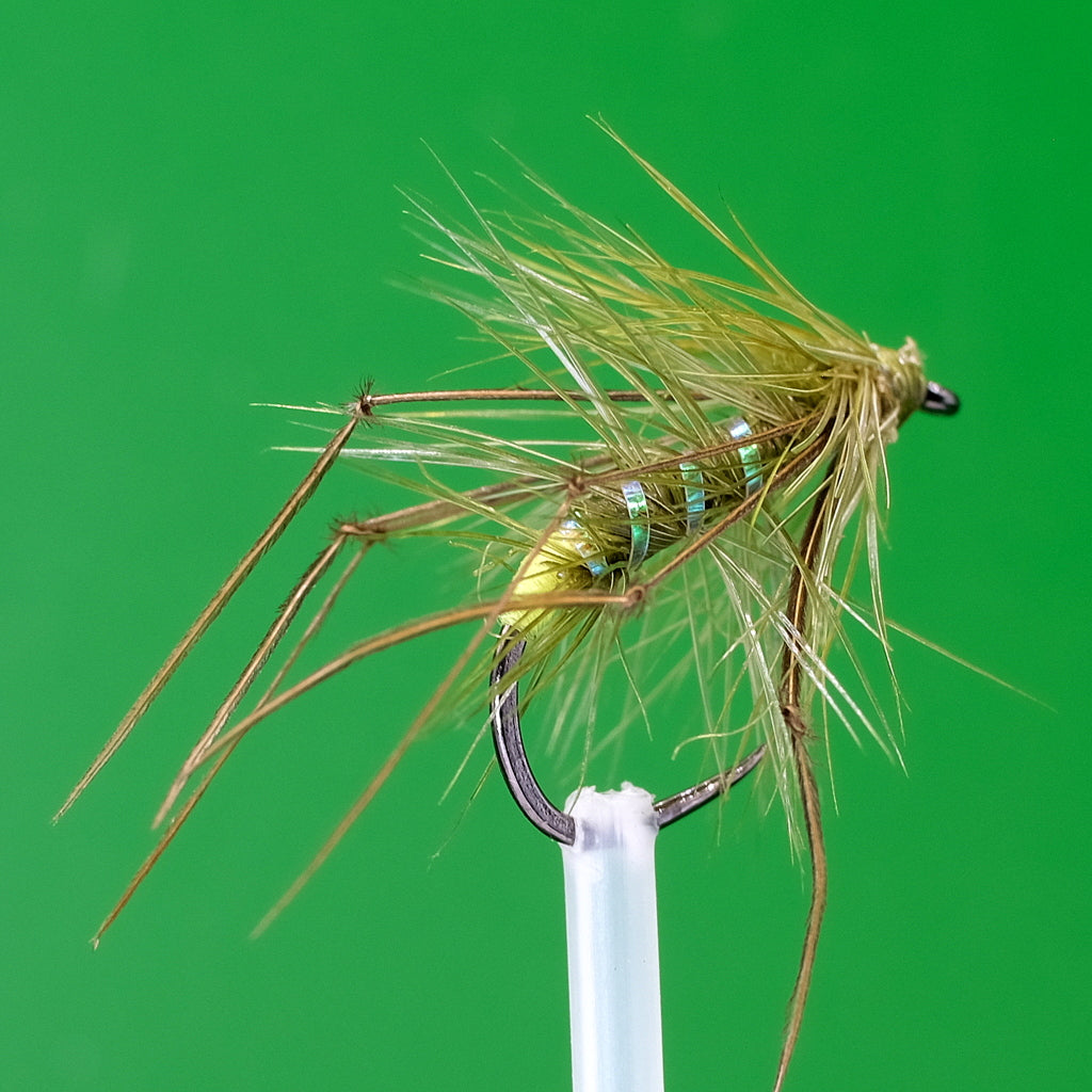 Hopper Olive Hot Spot – Sulcifly