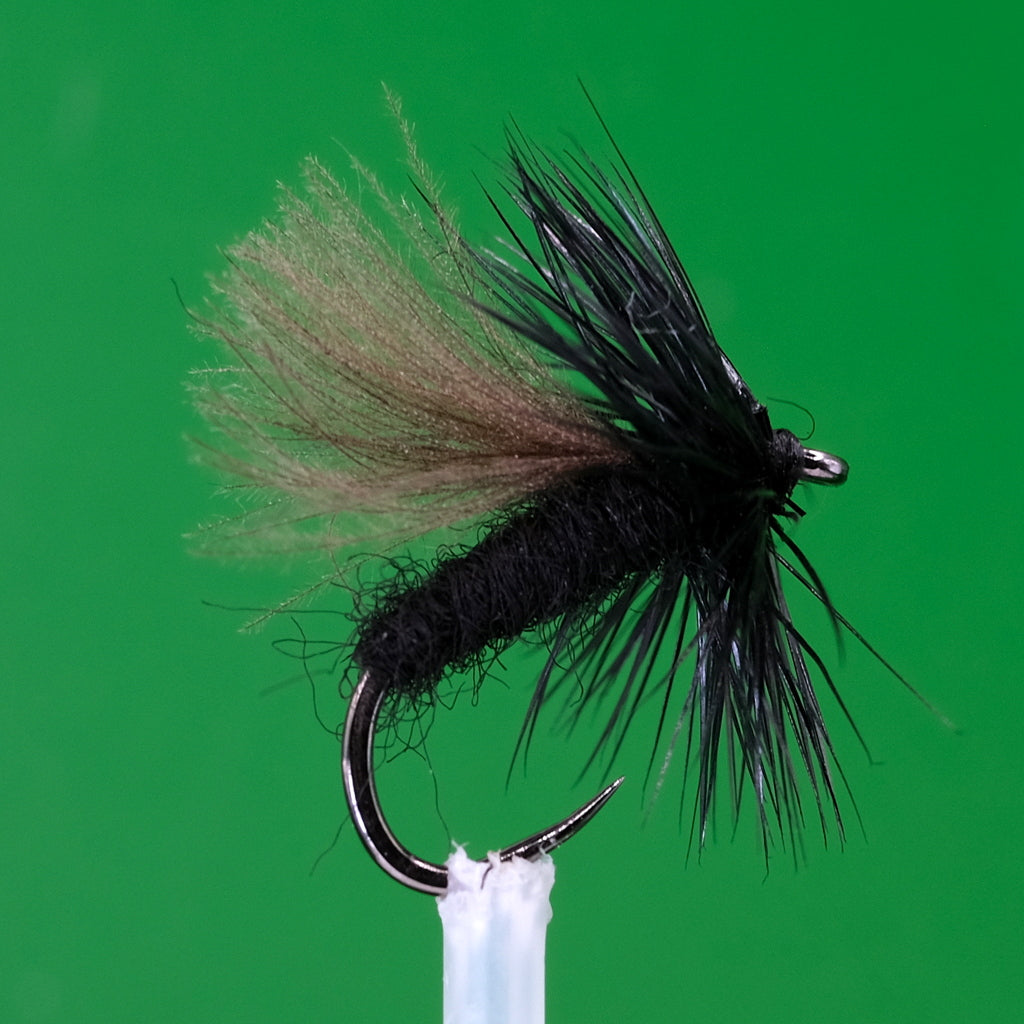 Mini CDC Sedge Black – Sulcifly